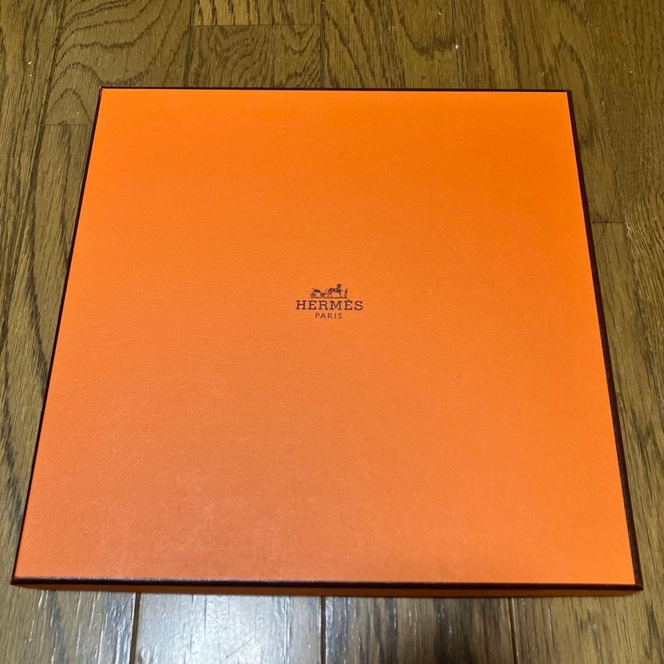 HERMES Scarf Carre 90 Le Premier Chant Song of Beginnings with box ...