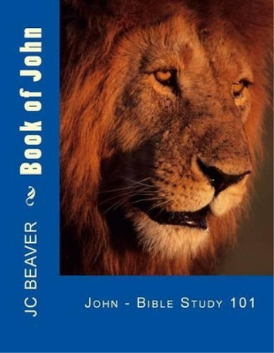 J C Beaver Book of John (Paperback) Bible Study for Peacemakers (UK ...