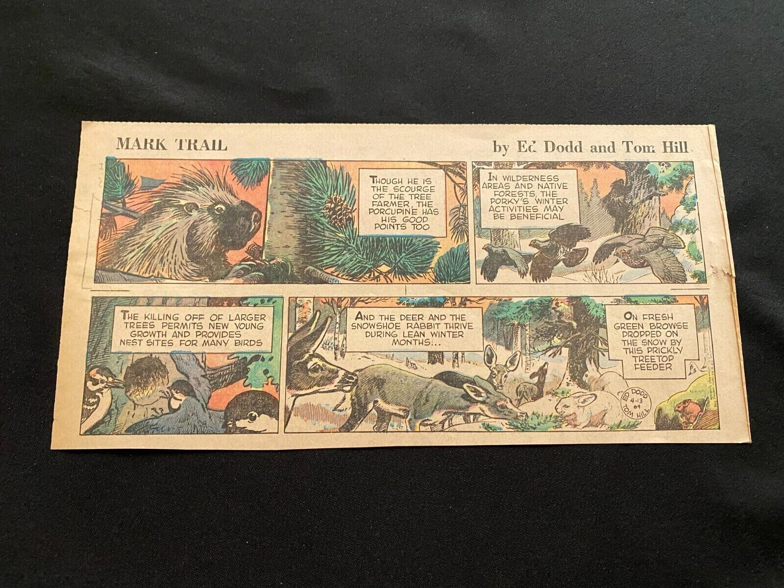#01 MARK TRAIL by Ed Dodd Lot of 42 Sunday Third Page Comic Strips 1969 ...