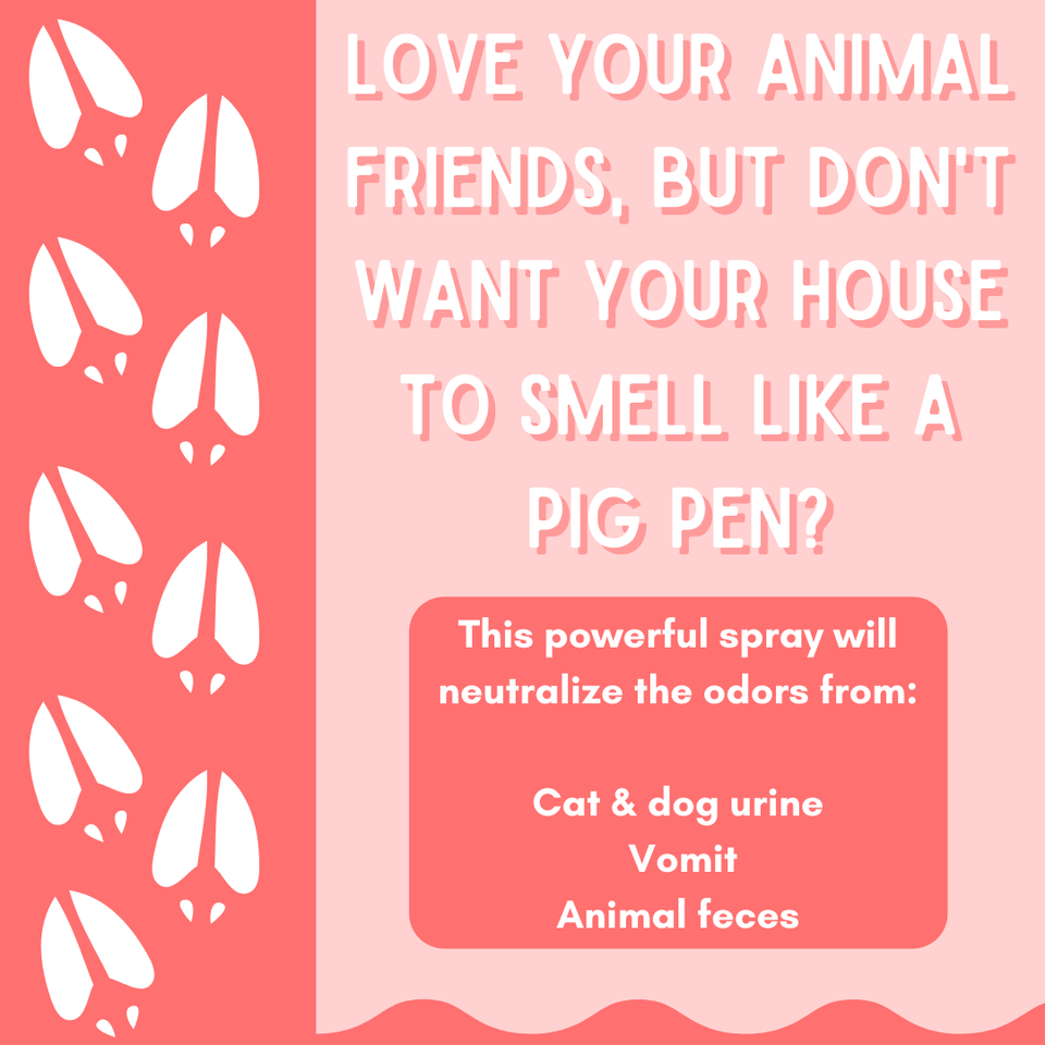 Happy Nose! Natural Plant Based Air Freshener Trio - 3 Scents | eBay