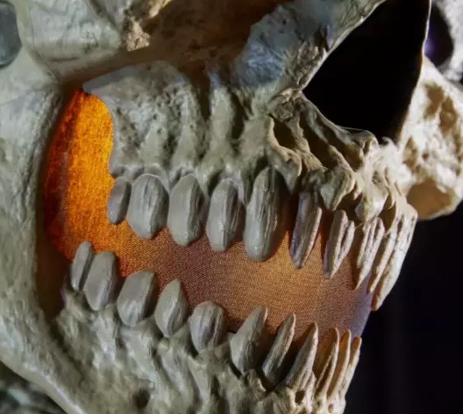 Home Depot 12ft Skeleton Replacement Scary Head LCD Life Eyes 8 EYE ...