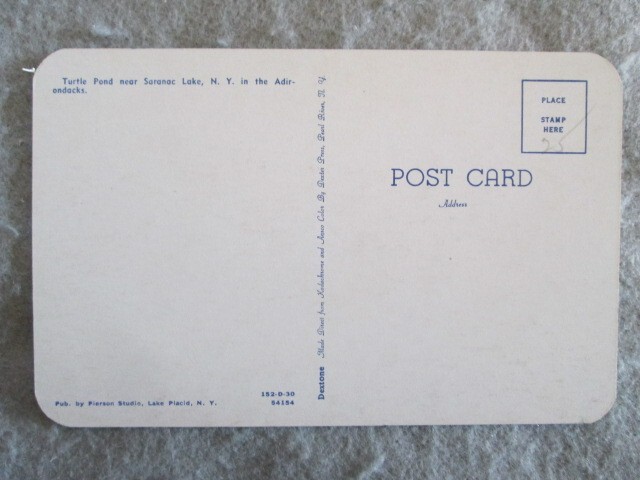 Vintage Turtle Pond Near Saranac Lake, New York Postcard | eBay