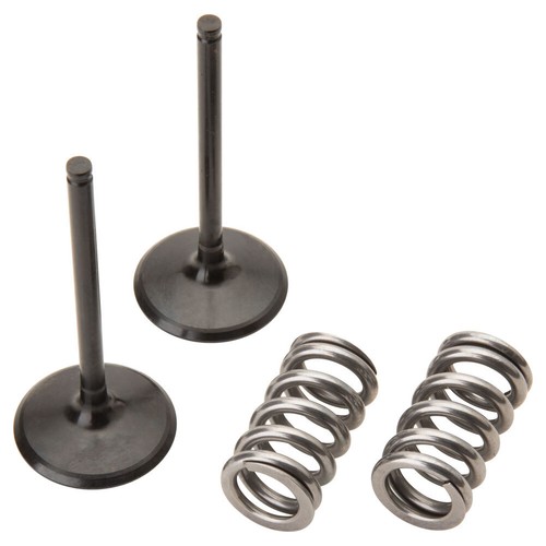 Pro X Steel Intake Valve/Spring Kit For YAMAHA WR450F 2016-2018 | eBay