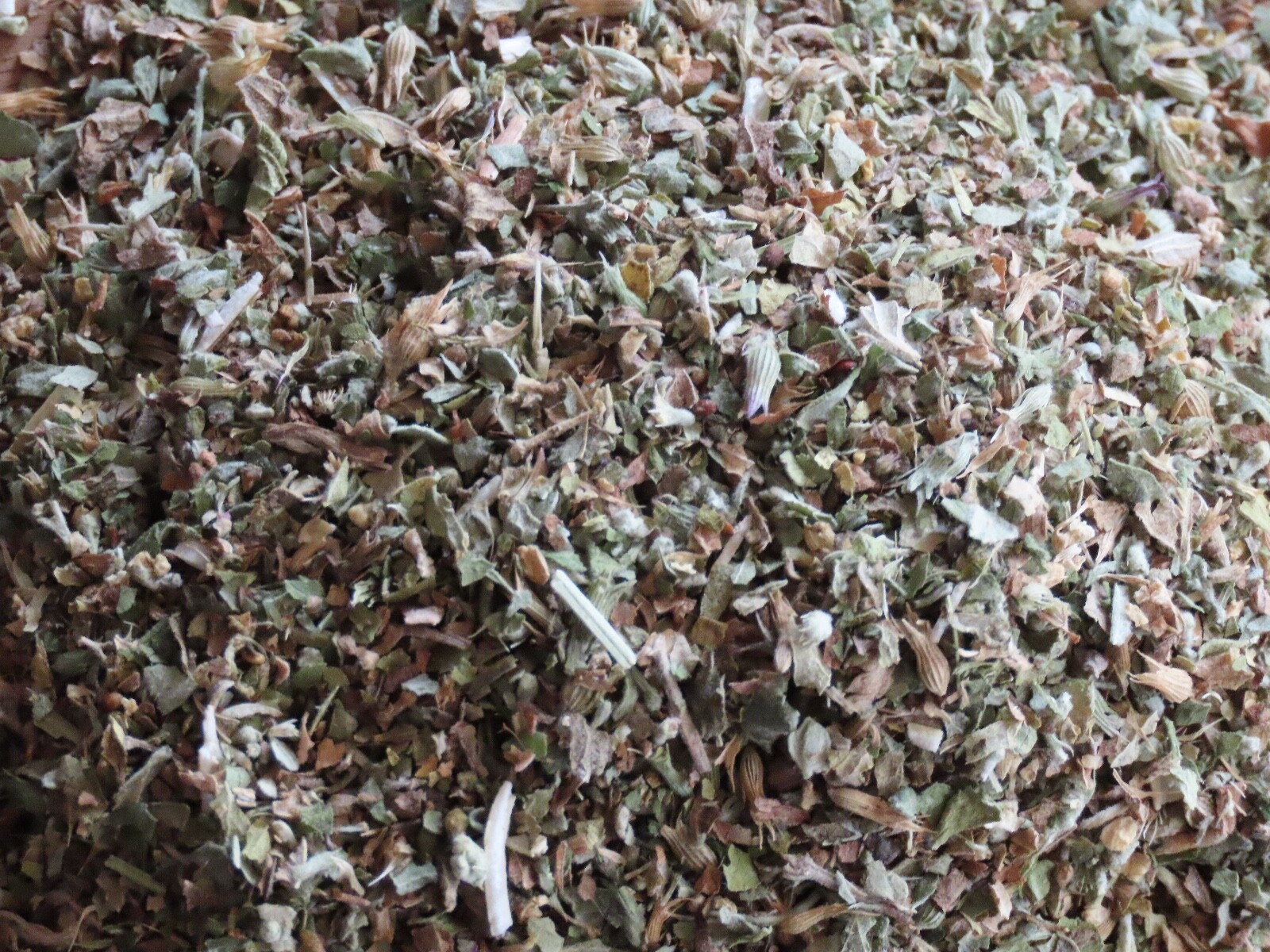 Catnip Herbs ~ Incense & Magical Use, Ritual Spiritual Burning Smudging ...