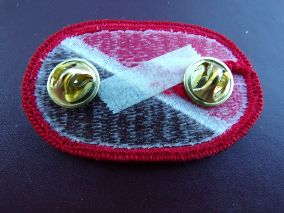 173rd Airborne Combat Engineer Co Jump Wing Oval Patch Badge Pin Italy ...