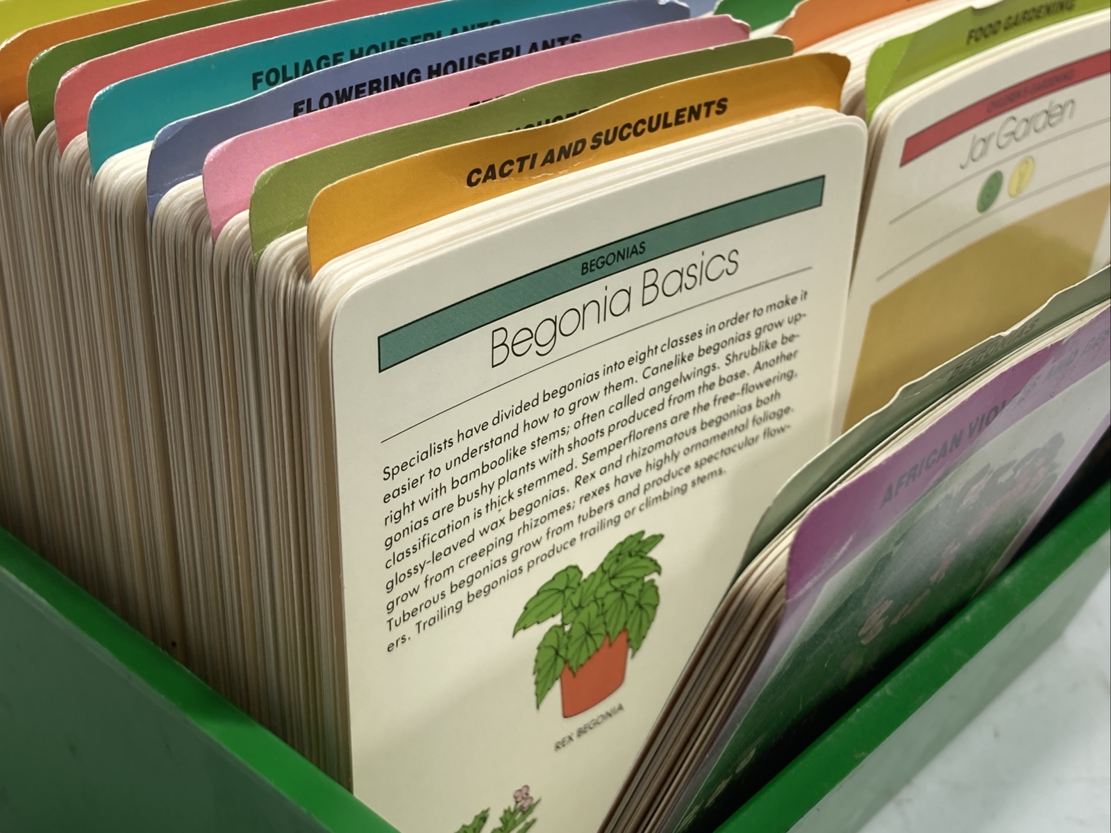 Happy Plants Identification Agricultural Tree Bush Shrub Plant BIO Card ...