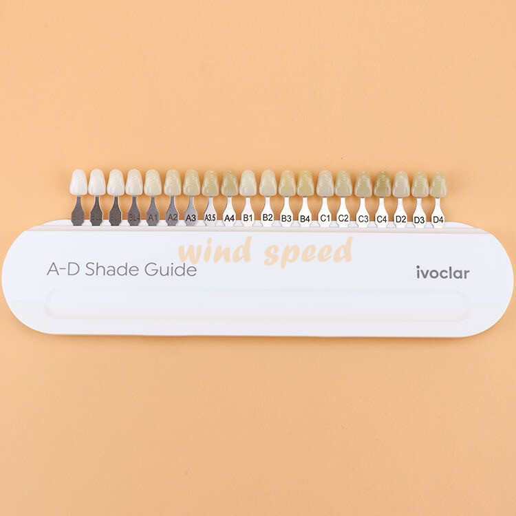 Ivoclar Vivadent Dental Shade Guide A-D 20 IPS Natural Die ND1-9 Bleach ...
