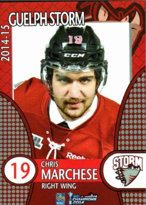 Chris Marchese 2014-15 Guelph Storm | eBay