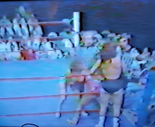 Women Wrestling - DVD - Women Pro Style Wrestling Debbie Combs an ...