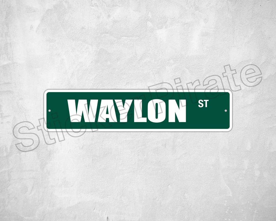 *Aluminum* Waylon 4" x 18" Metal Novelty Street Sign SS 3663 | eBay