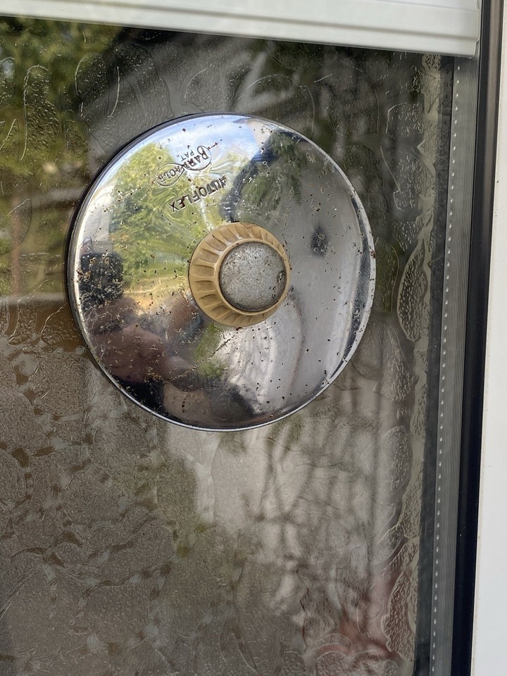 Vintage Autoflex Barnacle Suction Tax Disc Holder Pre Owned. | eBay UK