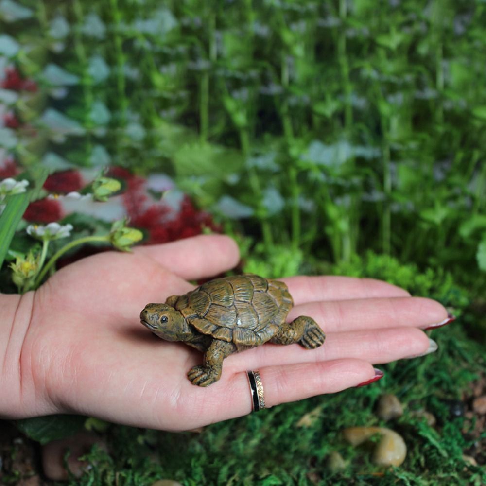 2pcs Miniature Simulation Mini Turtle Tortoise Figurine Car Home ...