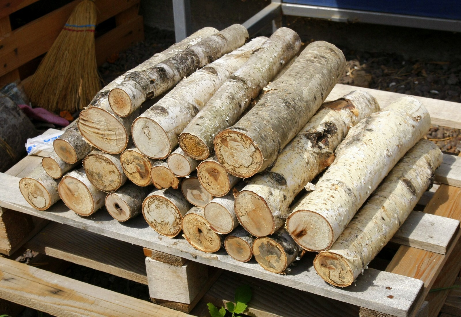 White Birch LOGS DECORATIVE Fireplaces DISPLAY 1 box 15 kg 35 cm ONLY ...