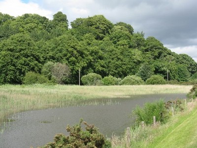 Photo A3 Reedy pond by the Fife Coastal Path Culross c2017 | eBay