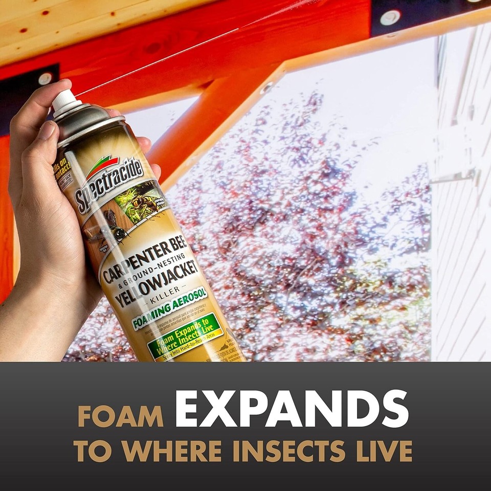 Spectracide Carpenter Bee & Nesting Yellowjacket Killer Spray 16Oz Each ...