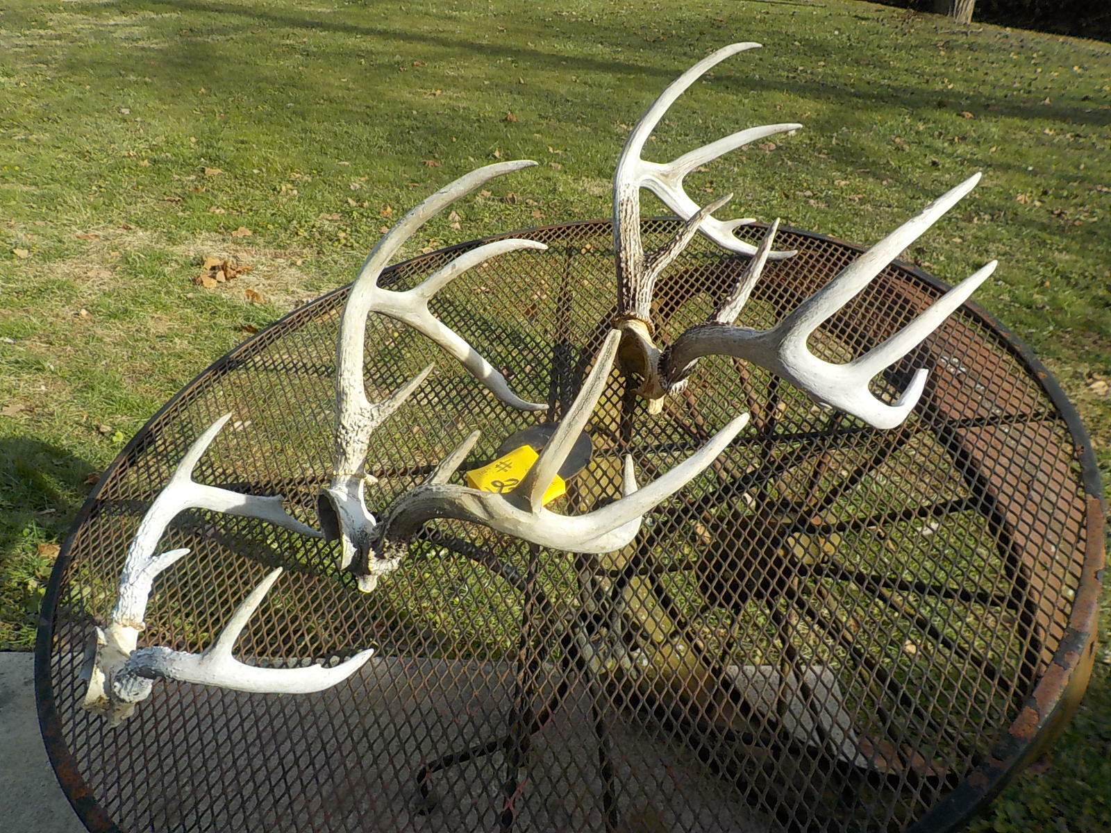 3 TOTAL 2 LARGE WHITETAIL DEER RACKS ANTLERS display wedding shed horn ...