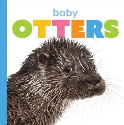 Kate Riggs Baby Otters (Paperback) Starting Out (UK IMPORT ...