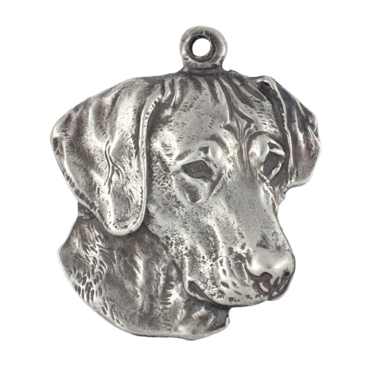 Rhodesian Ridgeback - Hundehalsband, einzigartiger Schmuck für den ...