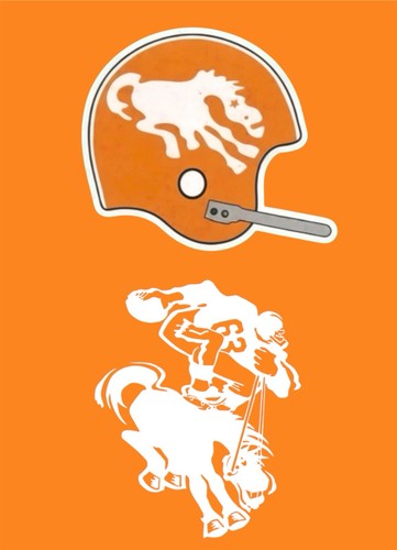 Denver Broncos 12x8in Metal Sign NFL Football Wall Decor Lo | eBay UK