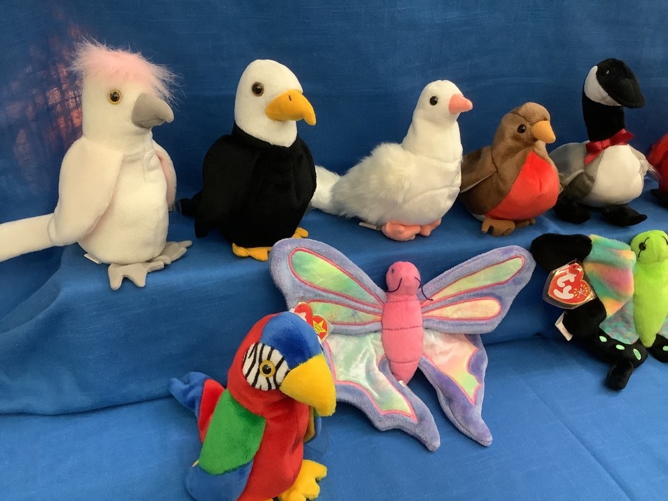 Beanie Babies with Birds and Butterflies | eBay