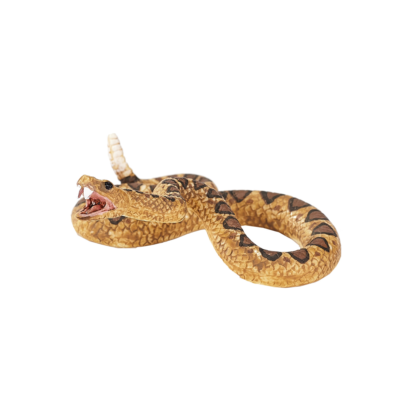 .Mojo RATTLESNAKE Wild zoo animals play | Grelly UK