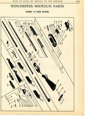 1966 3pg Print Ad of Winchester Model 12 Slide Action Shotgun Parts ...