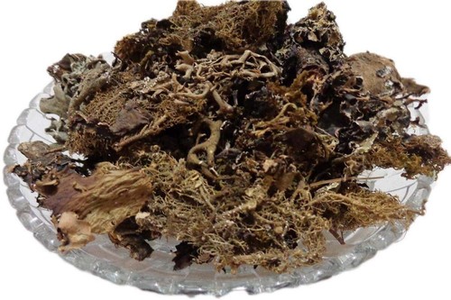 Chadila - charila - chareela - stone flower - patthar phool--200gm ...