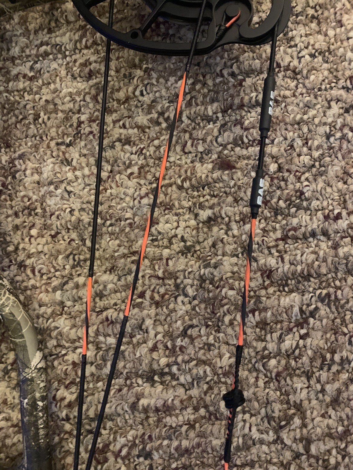 Hoyt Carbon RX5 Right Hand | eBay