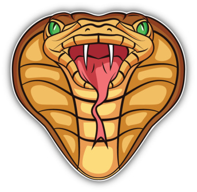Snake Head Animal Car Bumper Sticker Decal - ''SIZES'' | eBay