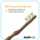 TOOTHWAK Miswak Natural Organic Wooden Toothbrush Classic 2 Head Eco ...
