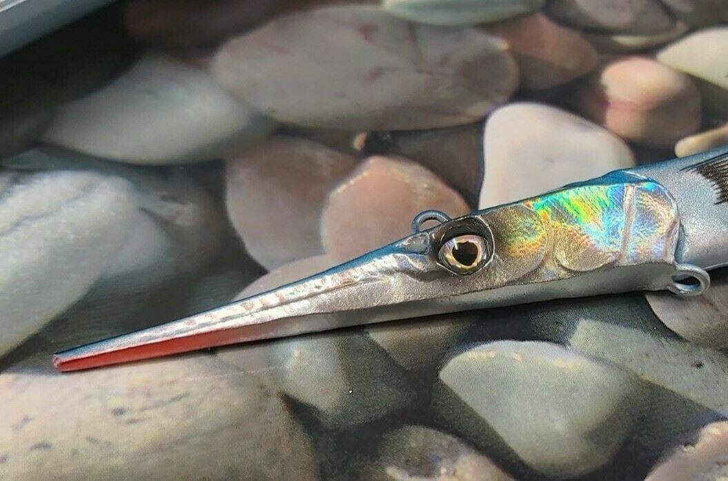 Baby Needlefish