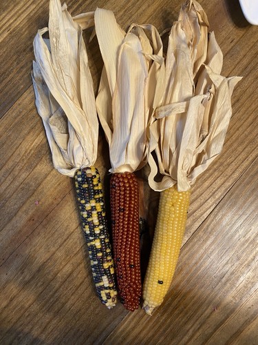 Corn Husk Fall Decor Set Of 3 Pieces Of Corn | eBay