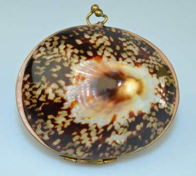 VINTAGE NATURAL BROWN LIMPET SEA SHELL HINGED BRASS FRAME 2.5 INCH ...
