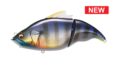 Taxidermy - Bluegill Mount