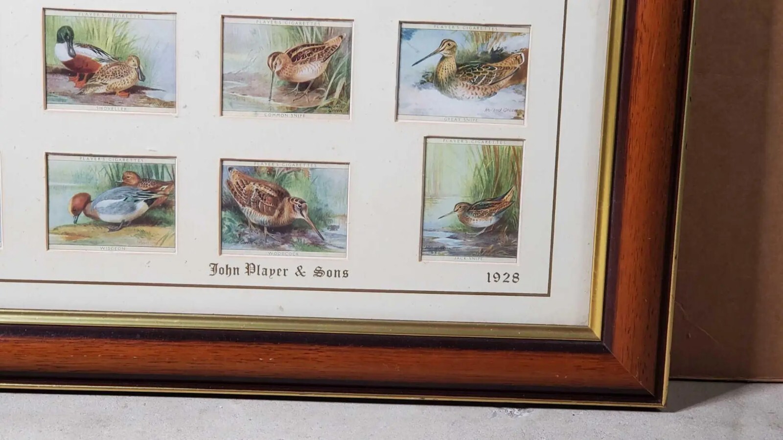 Players Cigarette Cards Game Birds & Wild Fowl 1928, Complete Set 25 ...