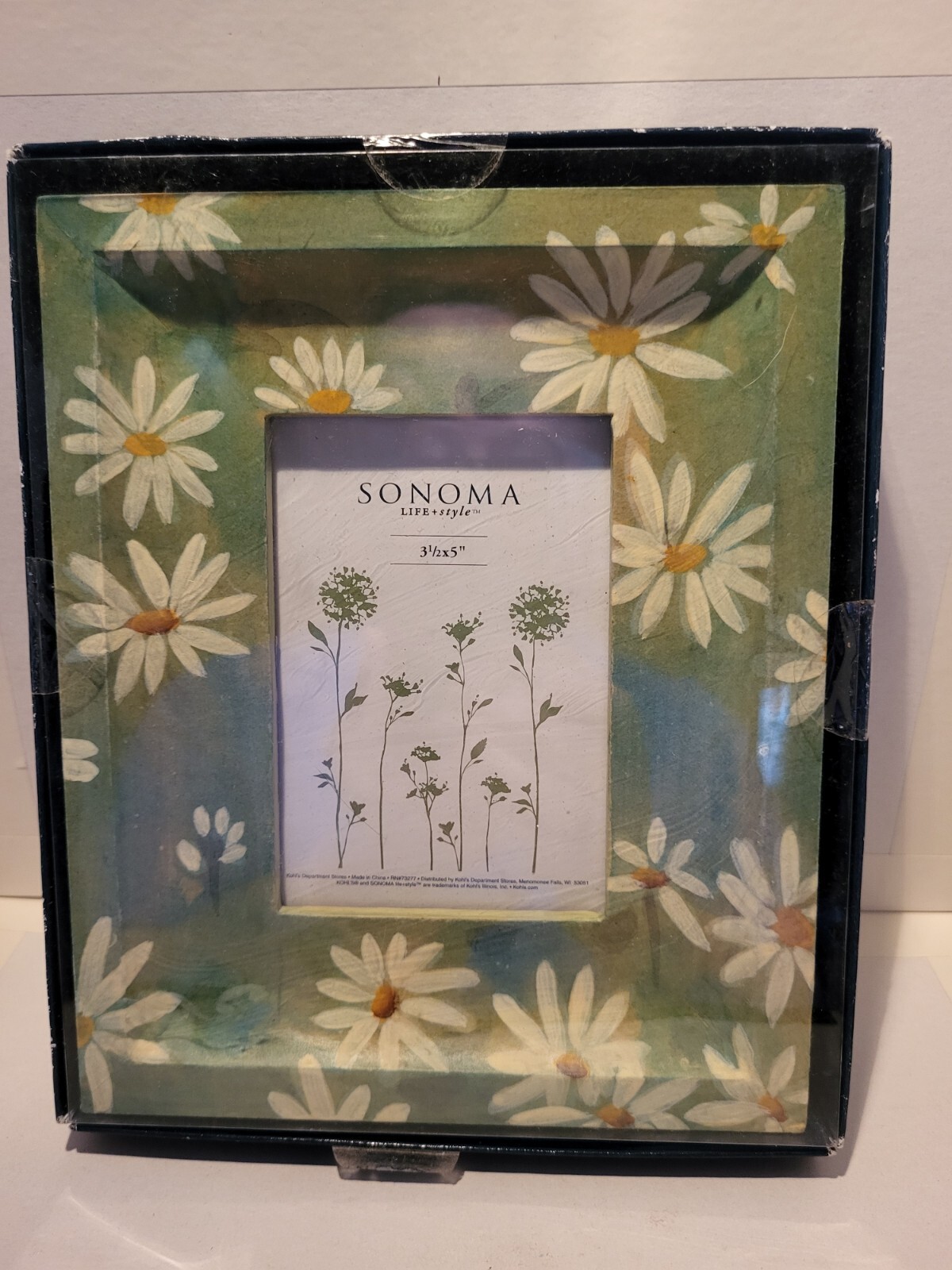 Sonoma Home Goods Fern Plant Picture Frame 5"x7" Picture Life + Style ...