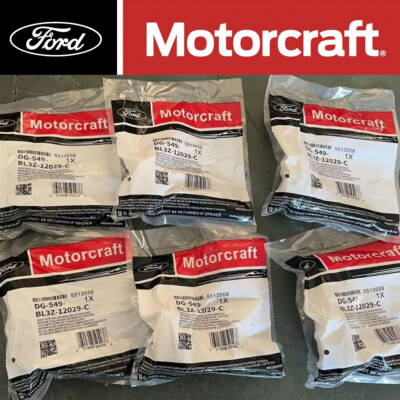6x DG549 OEM MOTORCRAFT IGNITION COILS -Authenticity Guarantee | eBay