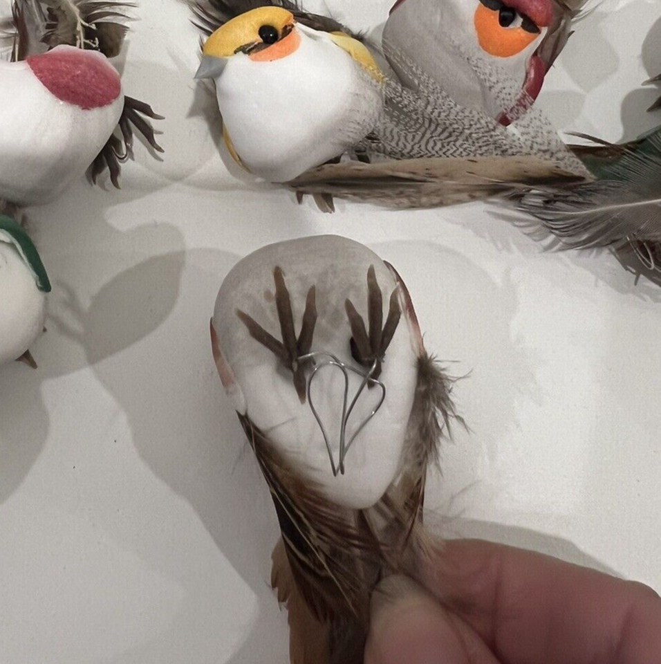 12Pcs Artificial Sparrow Birds Feather Foam with Claw DIY Decorative | eBay