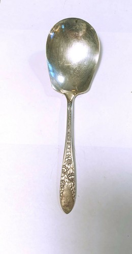 NATIONAL SILVER CO SERVING SPOON SOLID FLORAL | eBay