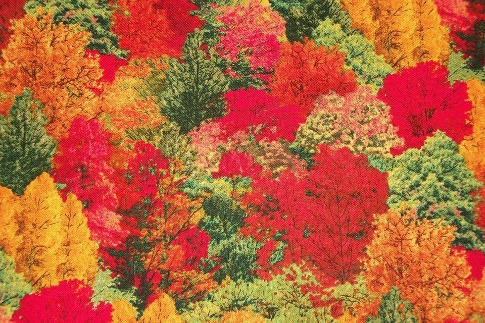Fall Fabric, Fall Tree Fabric, One Yard, Elizabeth Studios, Autumn ...