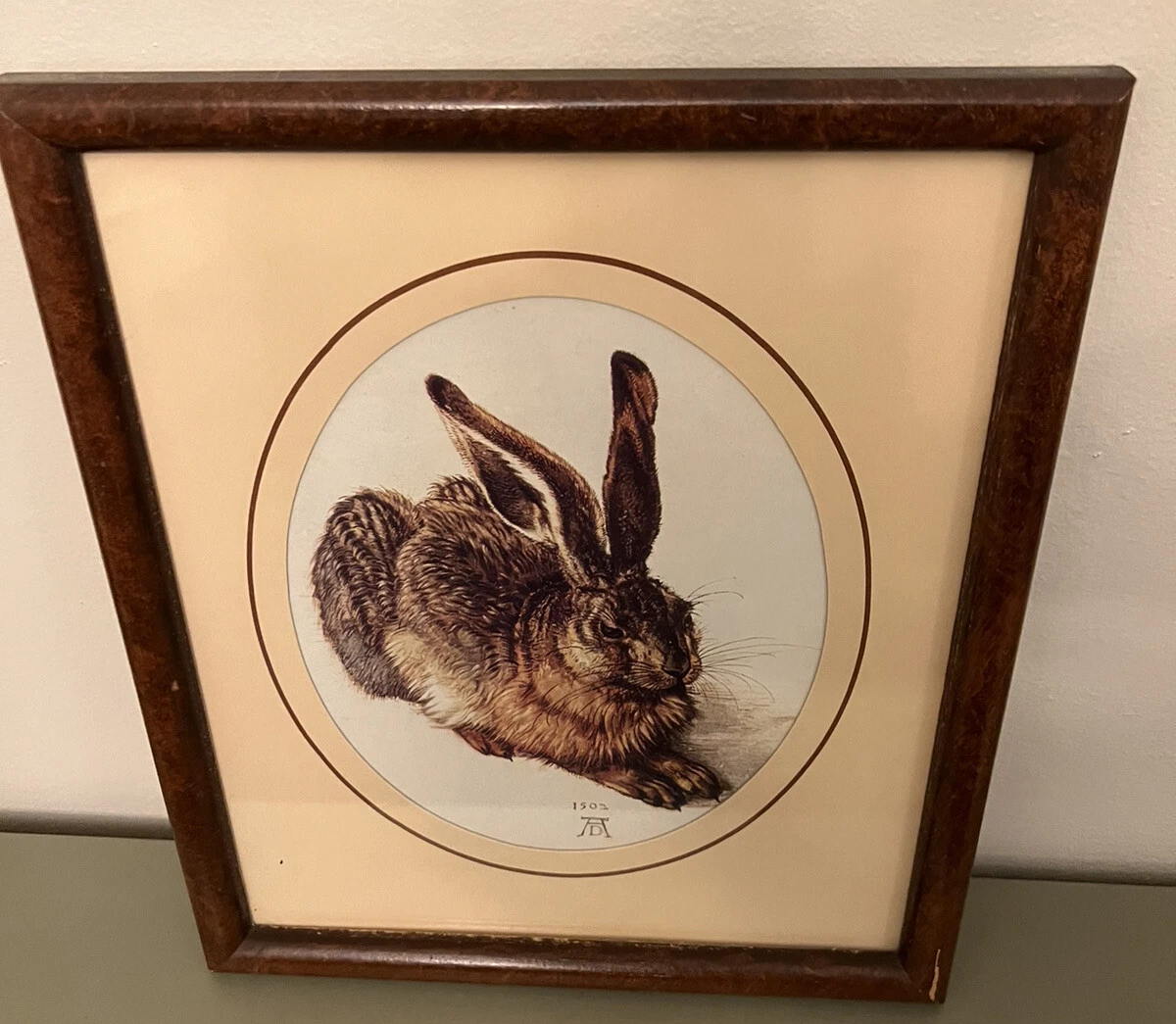Young Hare Albrecht Durer