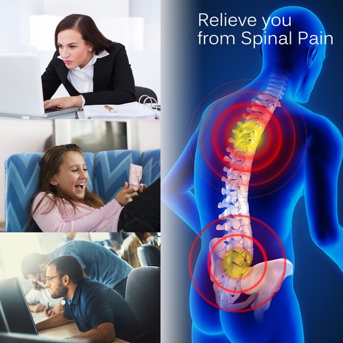 True Fit Posture Corrector Belt Adjustable Back Brace Straightener For ...