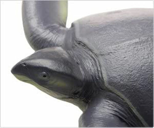 Archelon Prehistoric Life Soft Model Figure Favorite | eBay