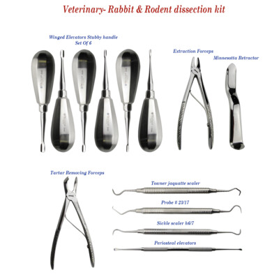 Veterinary instruments Rabbit & Rodent Surgical Small Animal Dissection ...