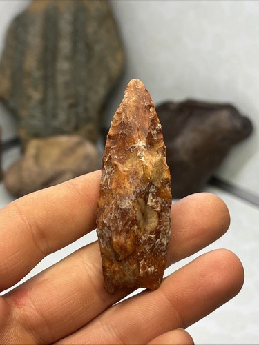 MLC s5979 Paleo To Archaic Lanceolate Arrowhead Relic Deep South FL GA ...