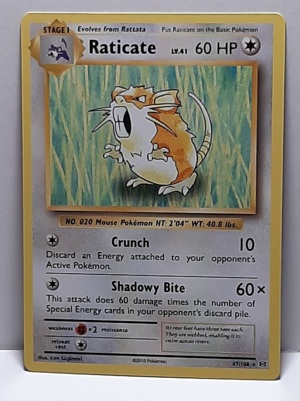 Raticate 67/108 Pokemon XY Evolutions Rare New Colorless Fresh | eBay