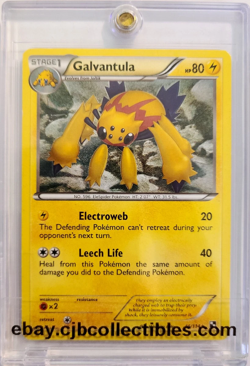 Galvantula Evolution Chart