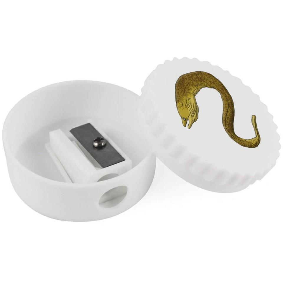 'Moray Eel' Compact Pencil Sharpener (PS00025859) | eBay