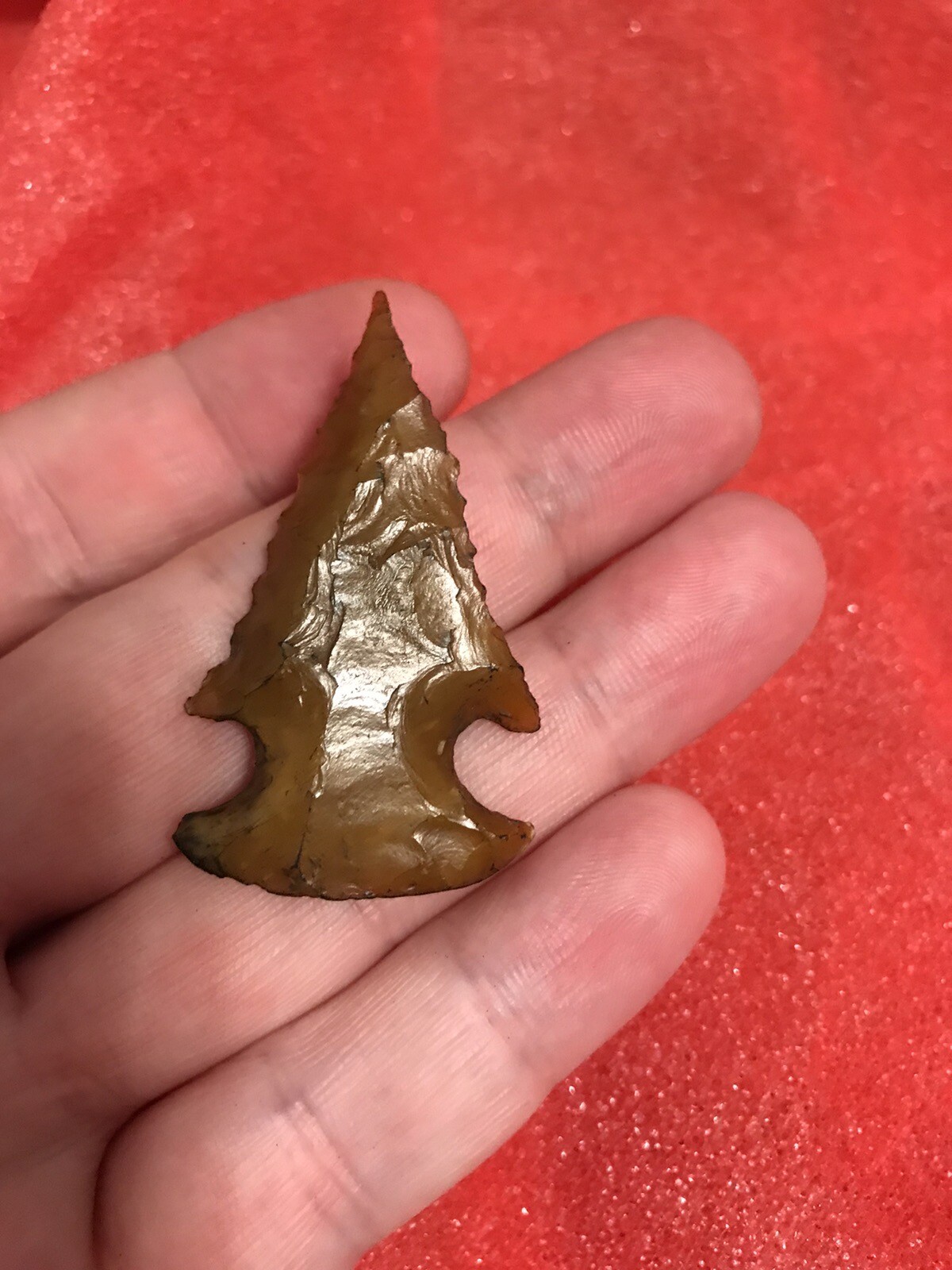 authentic Georgia arrowheads Bolen Bevel Flint Ga 9500 B.P 100 ...