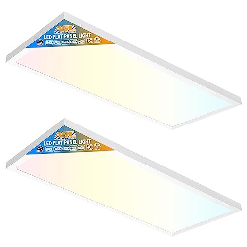 1x2 FT LED Flat Panel Light Surface Mount, 24W 1x2FT 5CCT (2-Pack ...